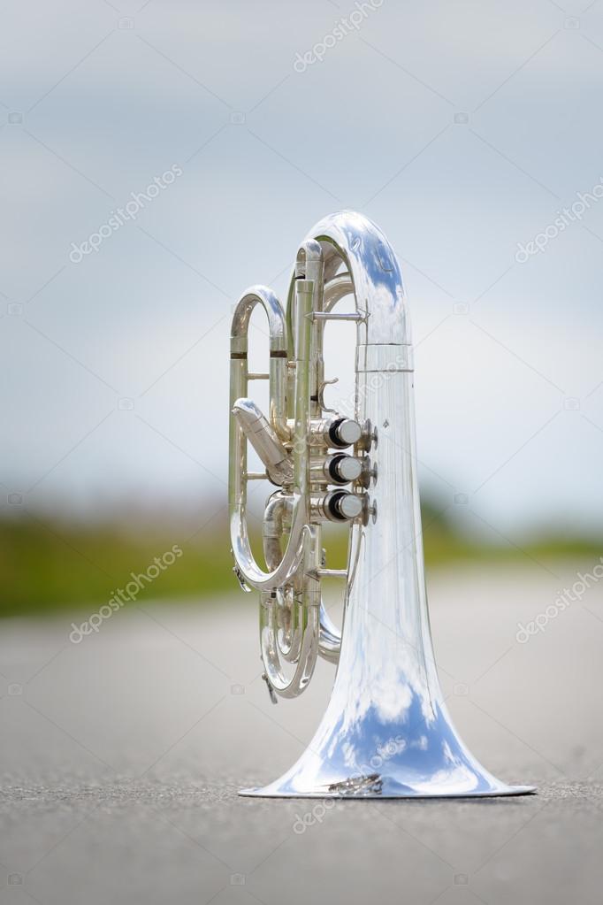 Portrait of a silver baritone Stock Photo by ©fotografiecor 100088616