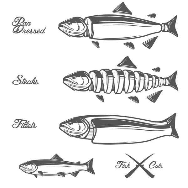 Fish cuts Vector Art Stock Images | Depositphotos