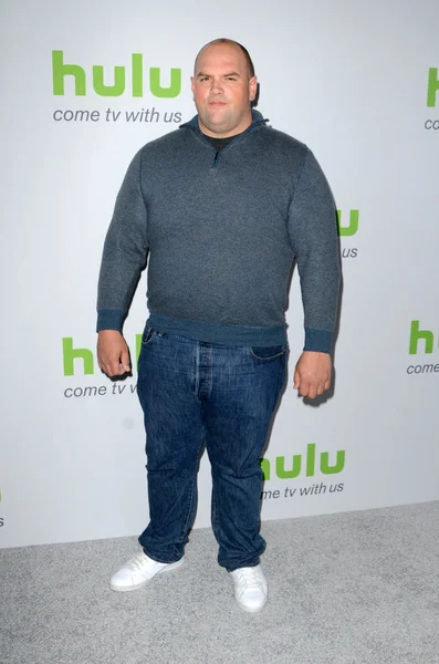 Ethan Suplee - actor – Stock Editorial Photo © s_bukley #119301436