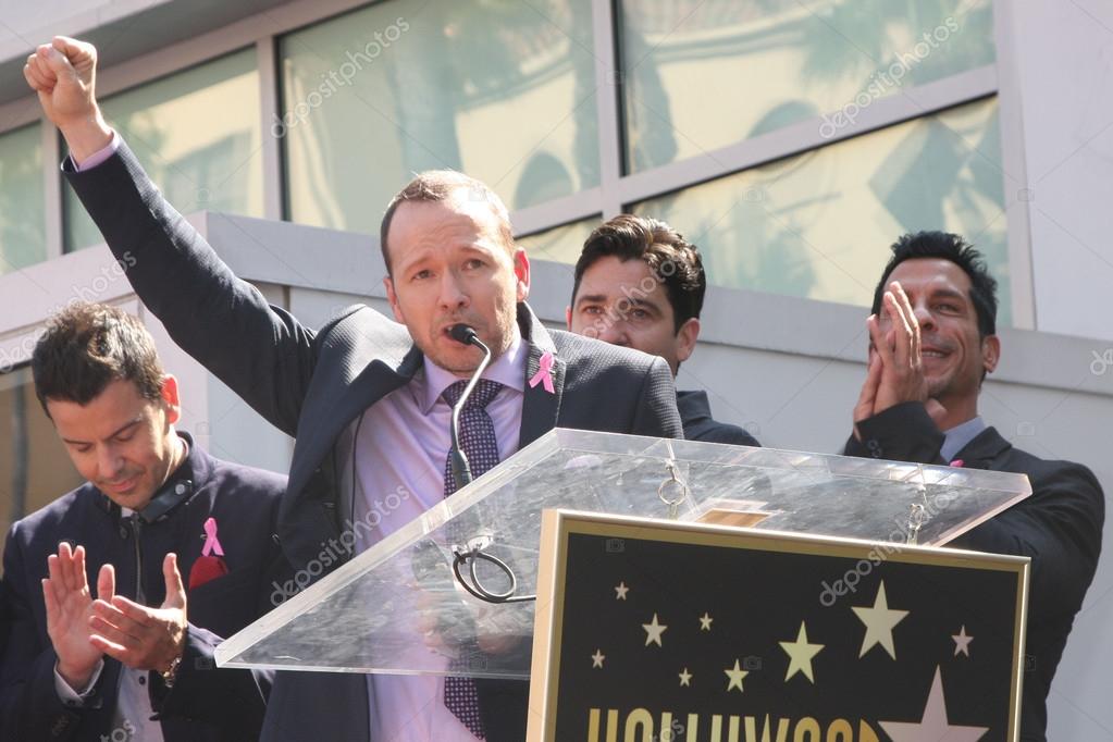 Joey Mcintyre, Jordan Knight, Donnie Wahlberg, Danny Wood y Jonathan ...