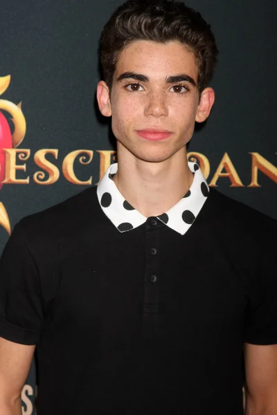 Cameron Boyce 2009