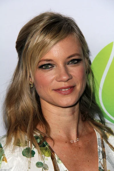 Amy smart Stock Photos, Royalty Free Amy smart Images | Depositphotos