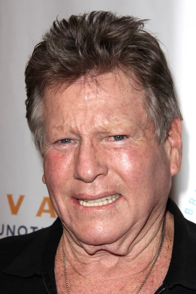 O antigo han Stock Photos, Royalty Free O antigo han Images | Depositphotos