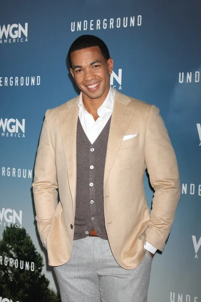 Alano miller Stock Photos, Royalty Free Alano miller Images | Depositphotos