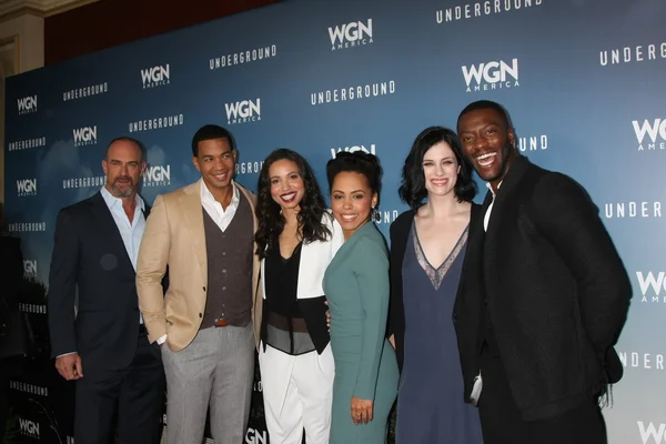 Alano miller Stock Photos, Royalty Free Alano miller Images | Depositphotos