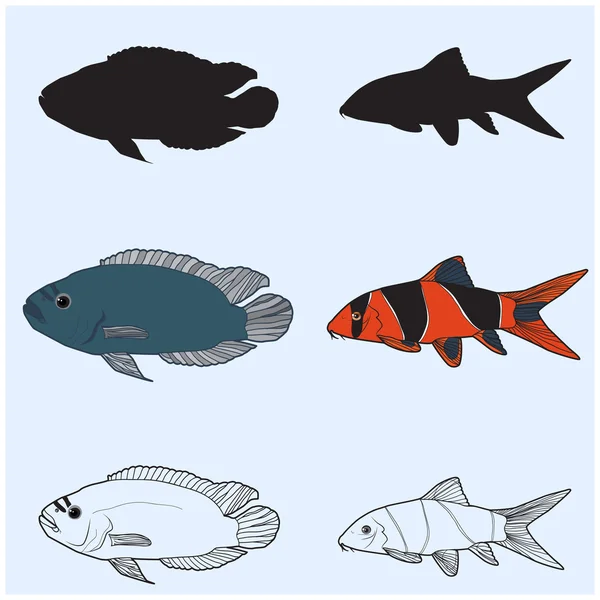 Different types of fish outline icons in set collection for design ...