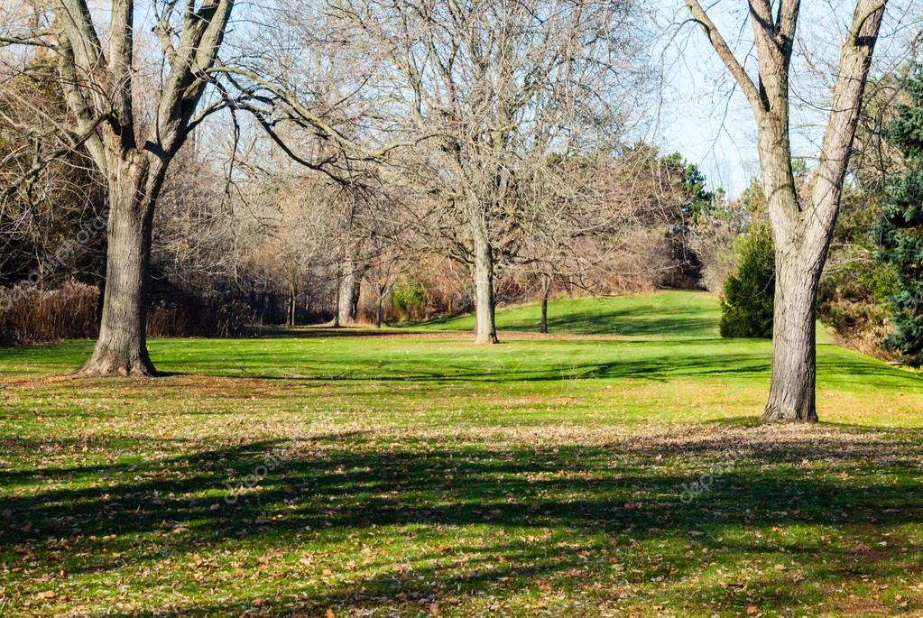 Empty park grass field and trees casting shadows. Stock Photo by ...