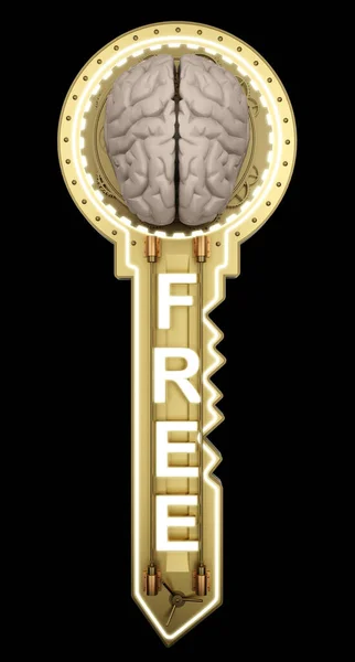 Brain keys Images - Search Images on Everypixel