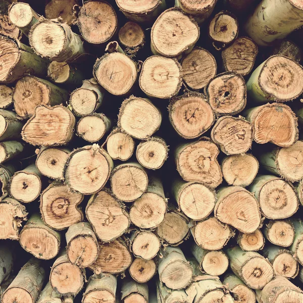 Stack of freshly cut trees - Stock Image - Everypixel