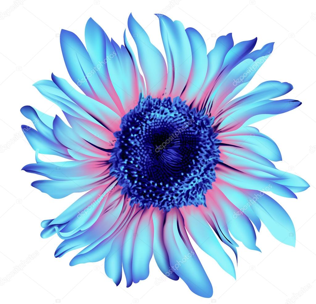 Silk Blue Daisy Clip Art
