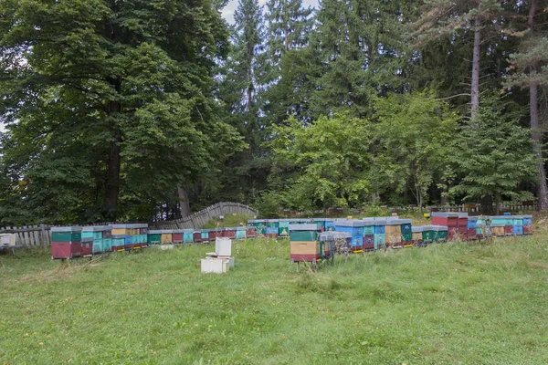Romania bee hives Stock Photos, Royalty Free Romania bee hives Images ...