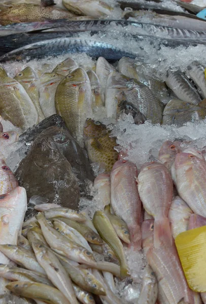 Muscat fish market Stock Photos, Royalty Free Muscat fish market Images ...