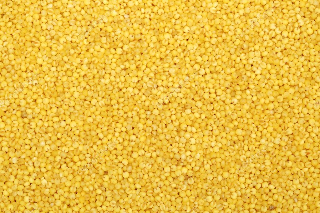 Fresh and raw Millet background — Stock Photo © jianghongyan #121865652