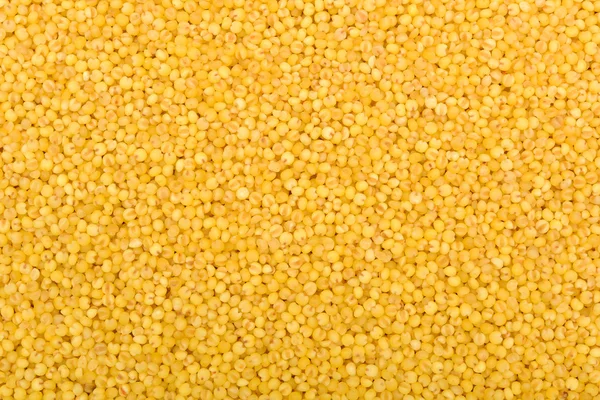 Yellow millet Stock Photo by ©jianghongyan 43867629