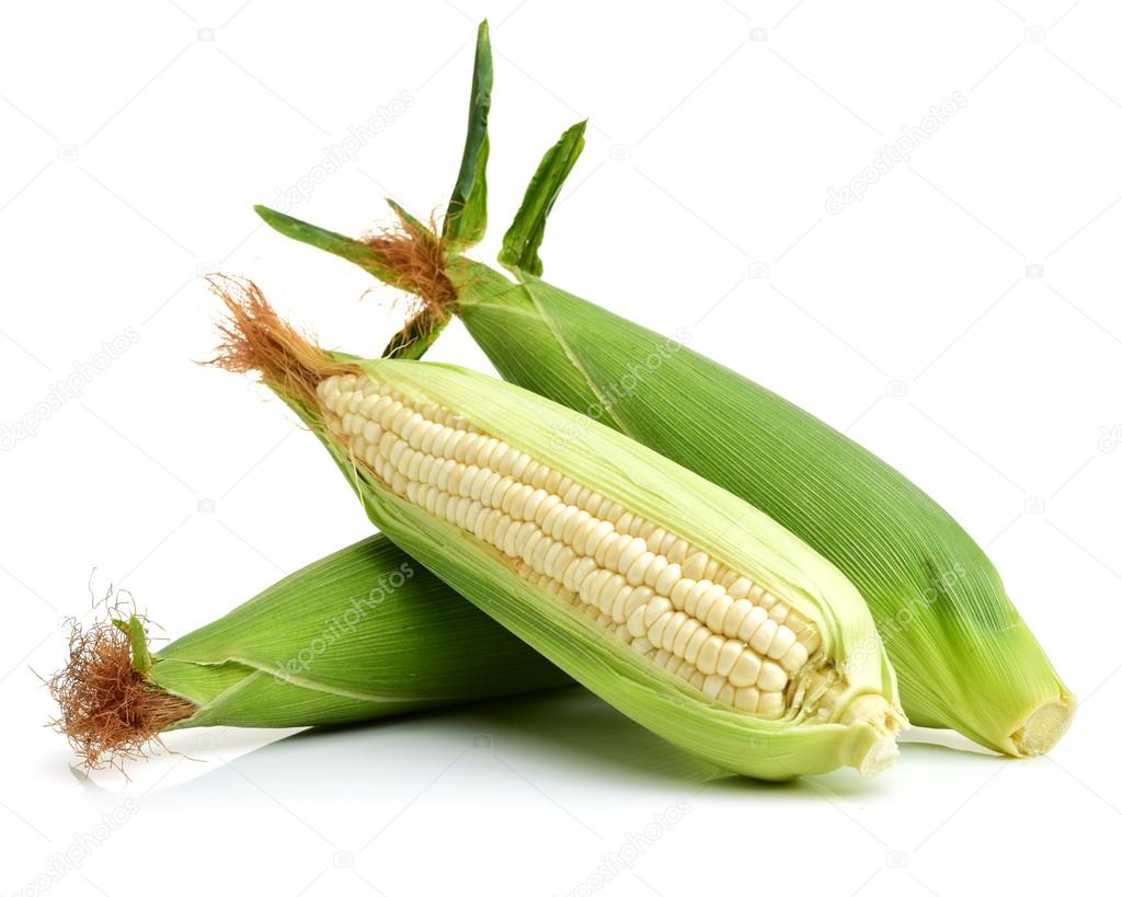 Tres mazorcas de maíz blancas frescas — Foto de stock © jianghongyan ...