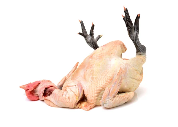 Pollo muerto fotos de stock, imágenes de Pollo muerto sin royalties ...