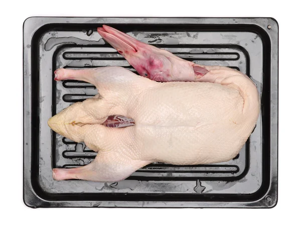 Raw goose breast Pictures, Raw goose breast Stock Photos & Images ...