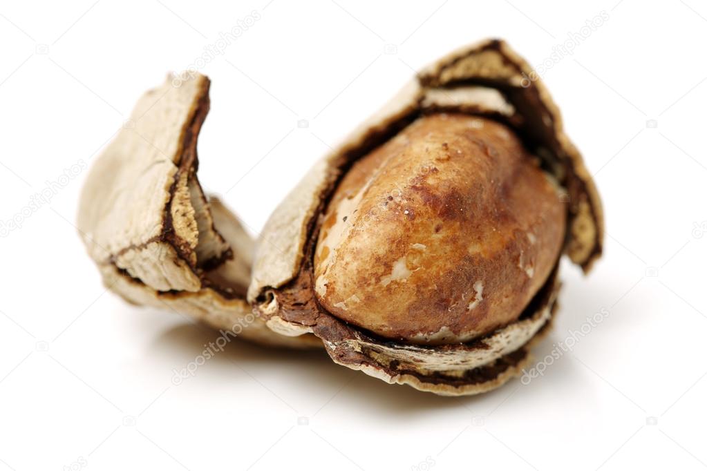 Brazil nuts on white background Stock Photo by ©jianghongyan 122832770