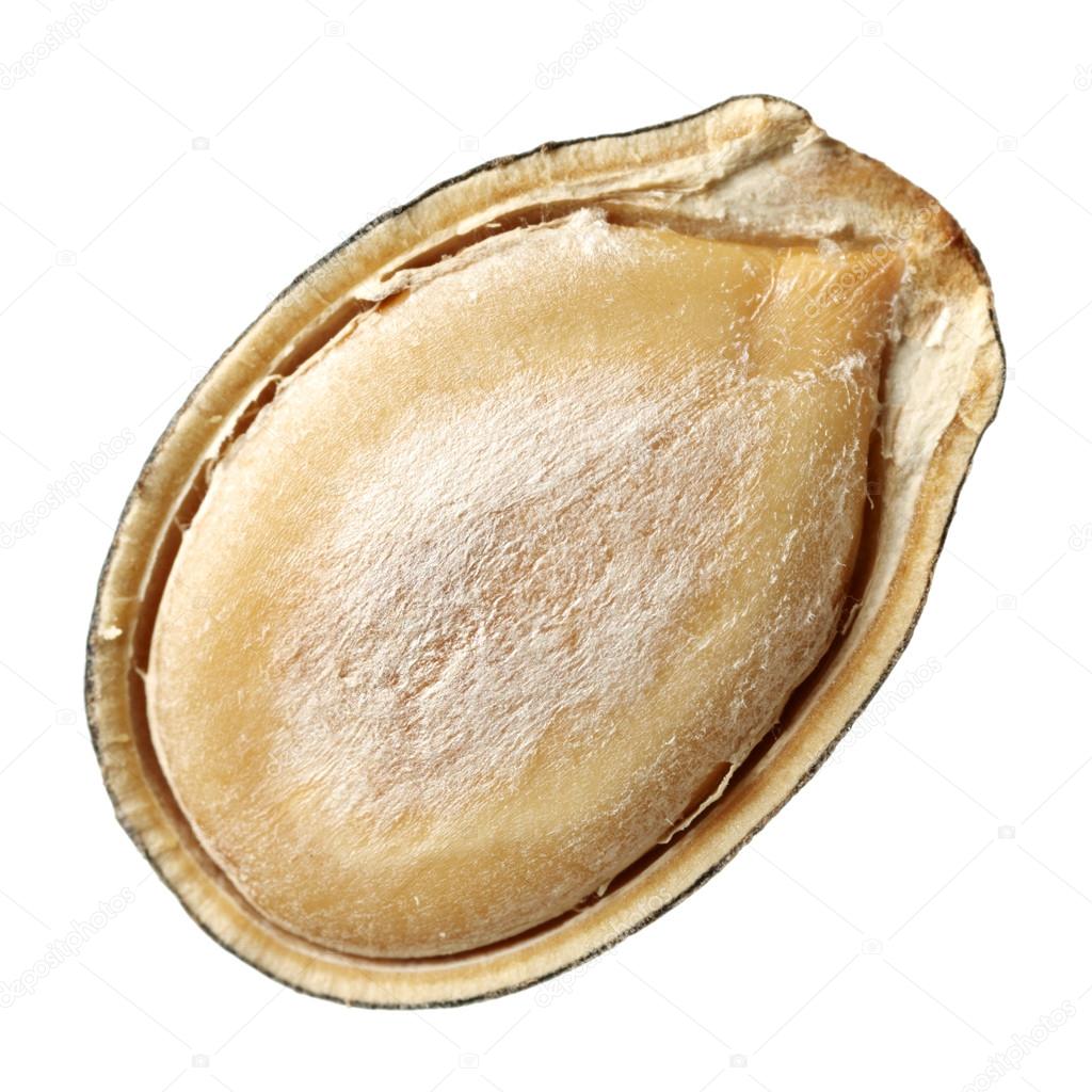 Melon Seed Stock Photo by ©jianghongyan 53119165