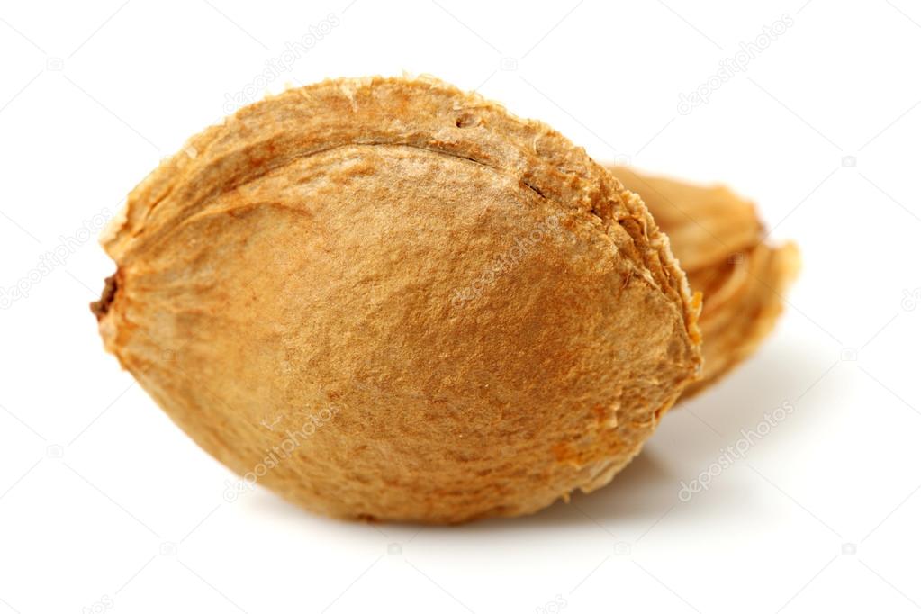 Apricot kernels isolated on white background — Stock Photo ...