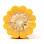 The corn cob pith Stock Photo by ©Xalanx 36966441