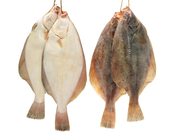 Pez rodaballo fotos de stock, imágenes de Pez rodaballo sin royalties ...