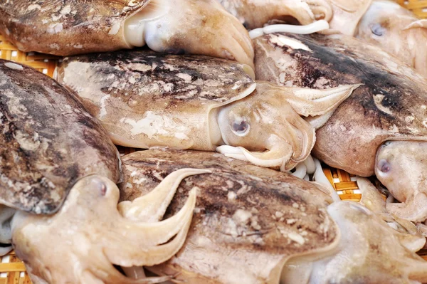 Raw cuttlefish Stock Photos, Royalty Free Raw cuttlefish Images ...