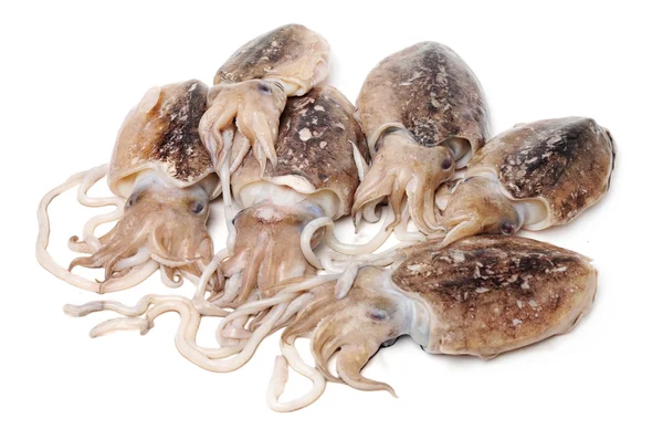 Raw cuttlefish Stock Photos, Royalty Free Raw cuttlefish Images ...