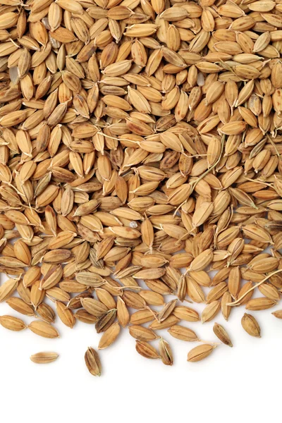 Paddy grains texture Stock Photo by ©jianghongyan 64352667