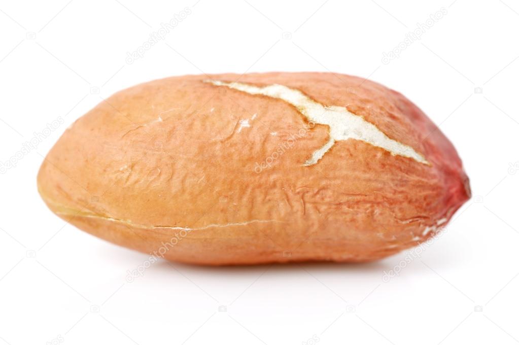 Peanut kernel isolated — Stock Photo © jianghongyan #72737181