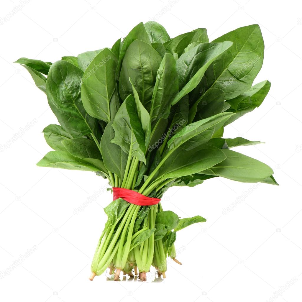 Baby Spinach Bunch