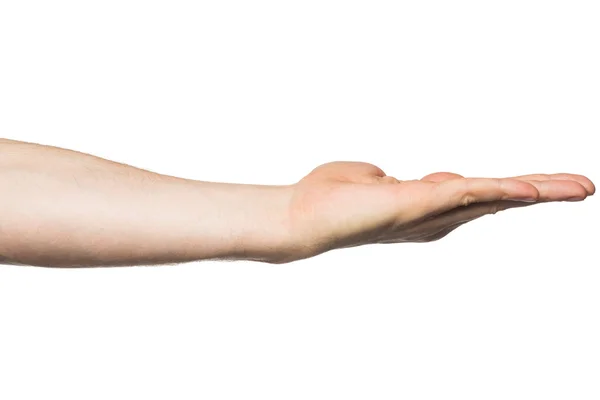 Open hand Stock Photos, Royalty Free Open hand Images | Depositphotos