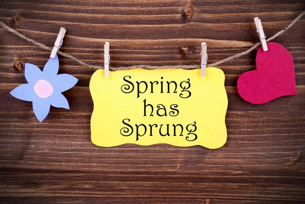 Spring Has Sprung Images