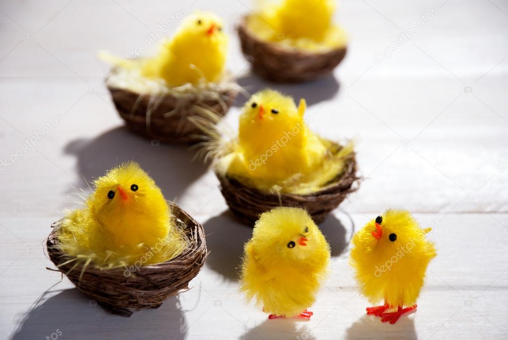 pollitos de Pascua en nidos de Pascua y dos pollitos de pie 2023