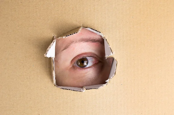 ᐈ Paranoia stock photos, Royalty Free paranoia photos | download on ...