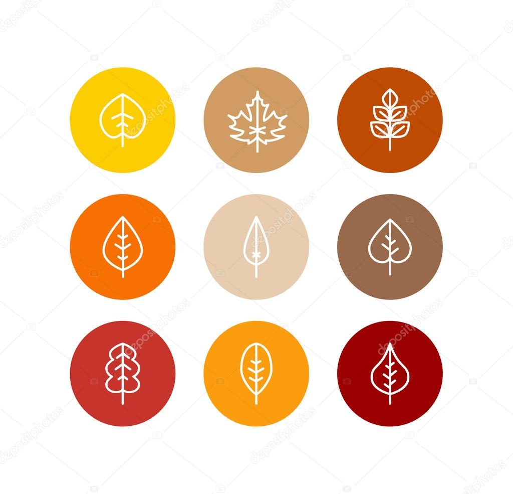 Vector autumn leaves icons set Stock Vector Image by ©YasnaTenDP #123592944