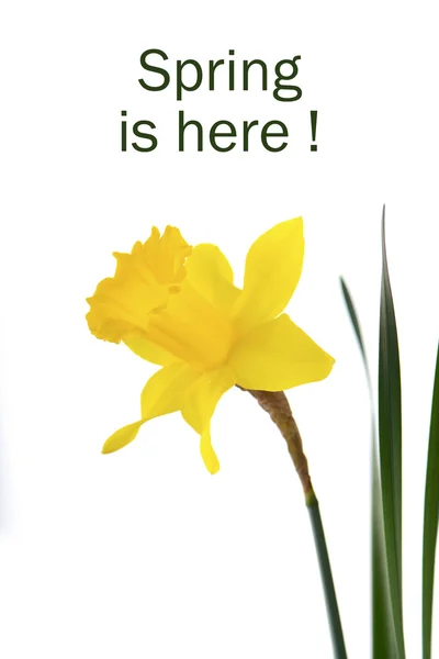 Welcome spring Stock Photos, Royalty Free Welcome spring Images ...