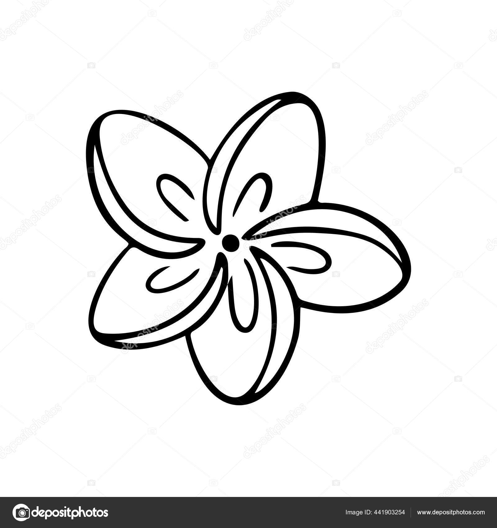 プルメリアの花の輪郭 白を基調としたフランジパニ線画ベクトルイラスト プルメリアシルエットのアイコン 花のドアとシンプルな要素 エキゾチックな