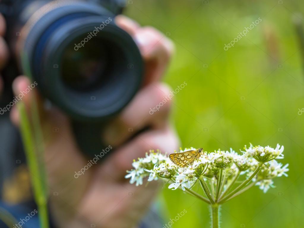 Macro Photographer in action — Stock Photo © CreativeNature #104884142