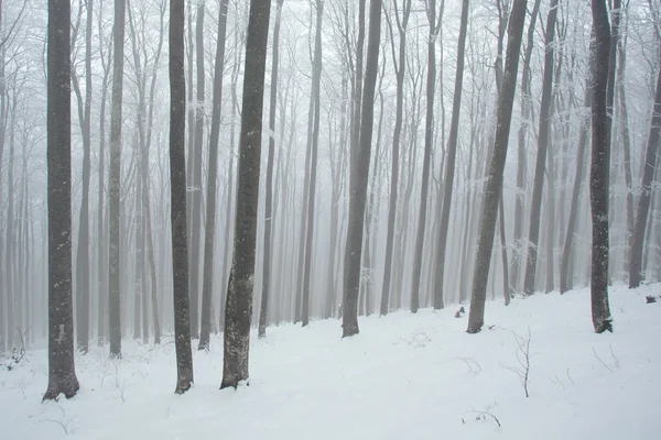 Snowlandscape Stock Photos, Royalty Free Snowlandscape Images ...