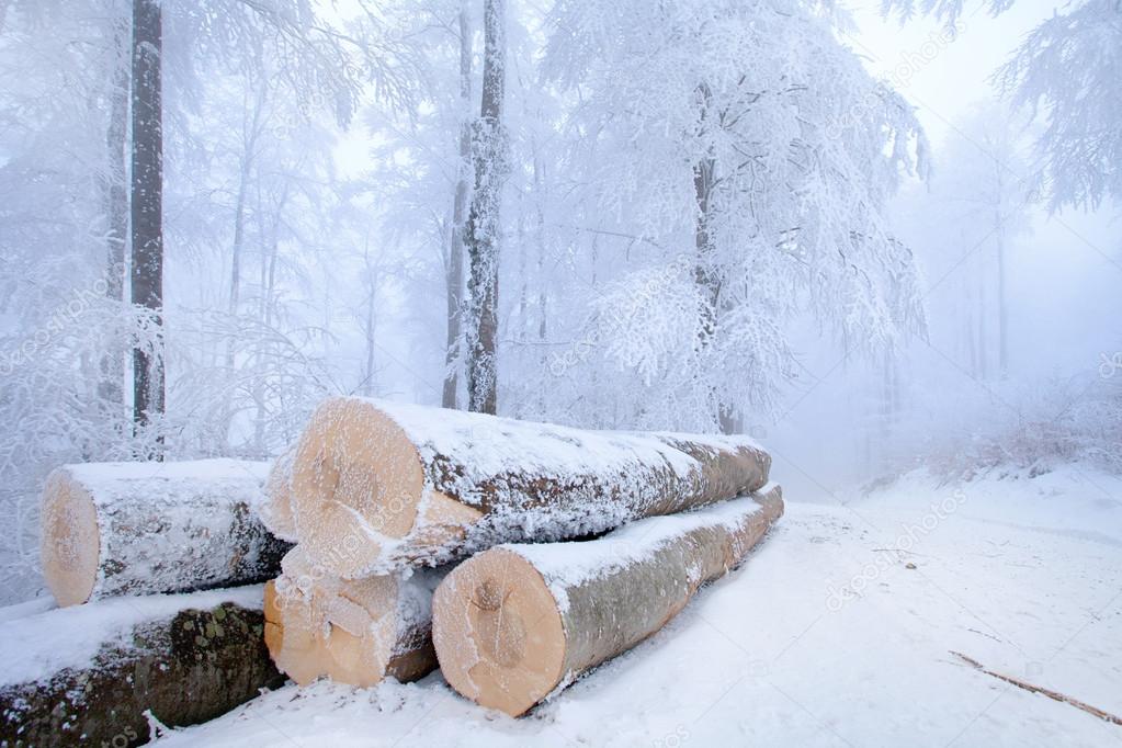 Snowy stack of timber Stock Photo by ©robsonphoto 77256944
