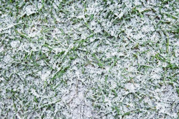 Snowy grass Stock Photos, Royalty Free Snowy grass Images | Depositphotos®