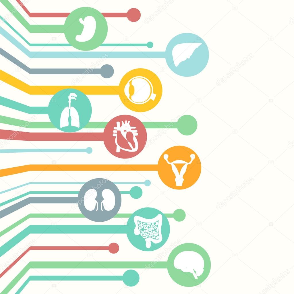 Concept of medical background. Human anatomy. Stock Vector Image by ...