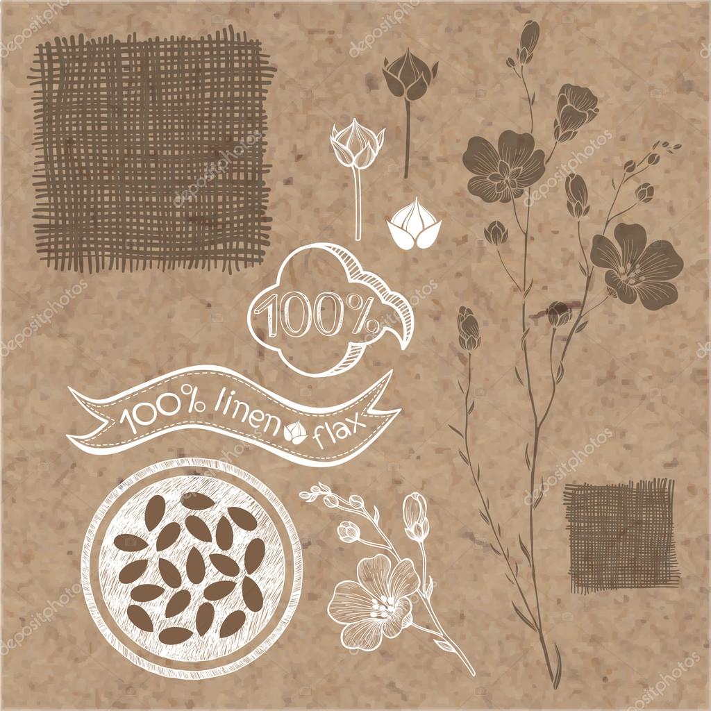Flax labels, stickers and elements Stock Vector Image by ©maritime_m ...