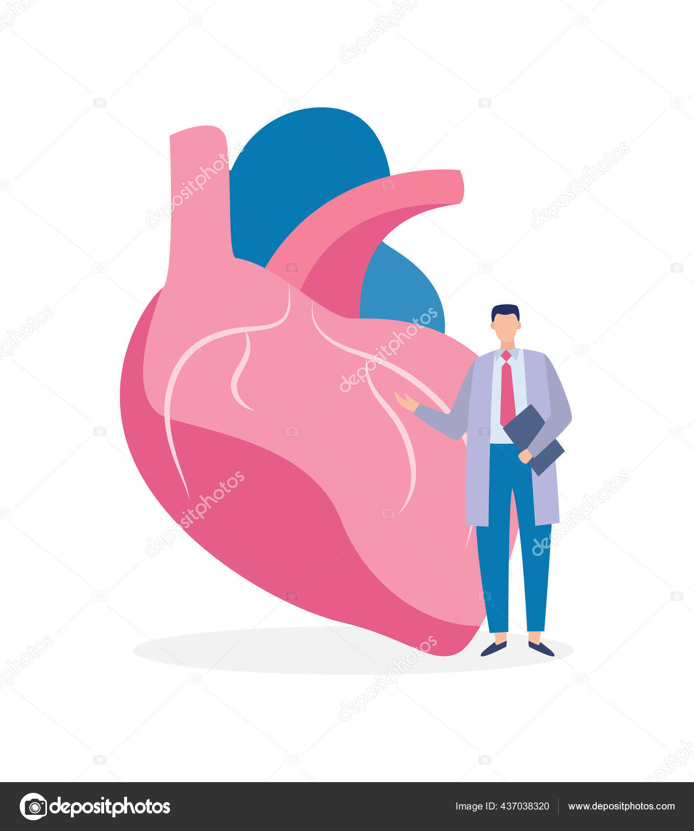 Doctor de pie cerca de enorme corazón humano plana vector ilustración ...