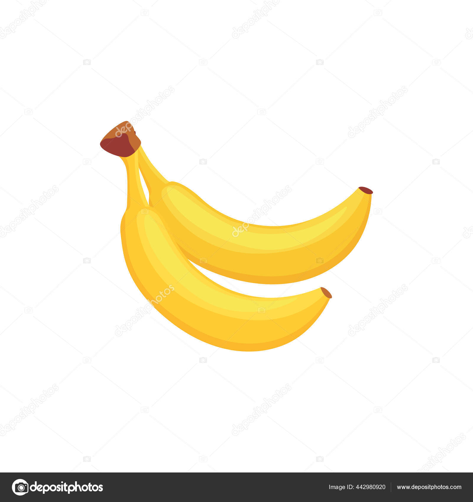 Two bananas in a bunch - cartoon pair of isolated yellow fruit Stock ...