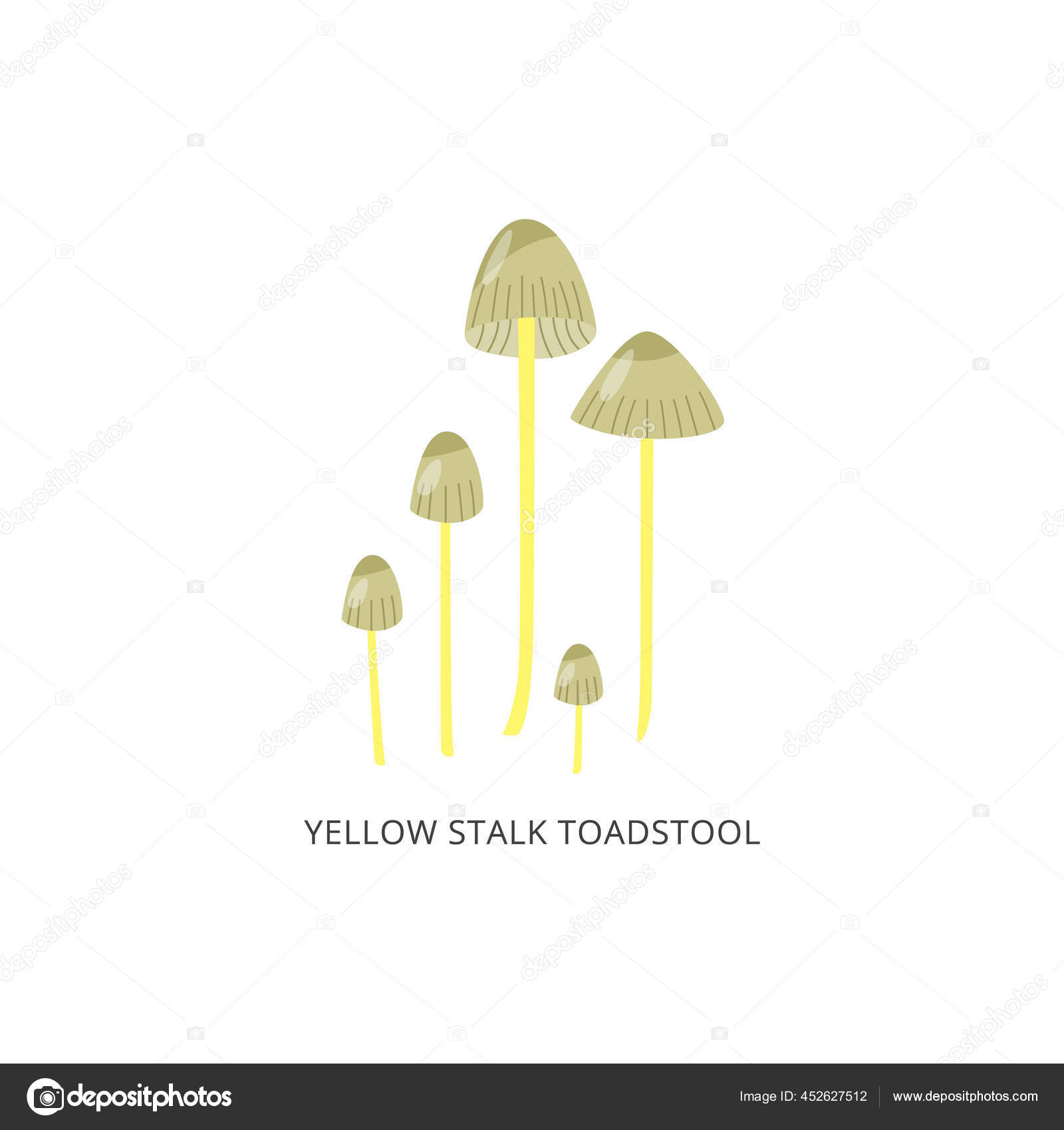 Card of yellow stalk toadstool mushrooms, flat vector illustration isolated. Stock Vector by ...