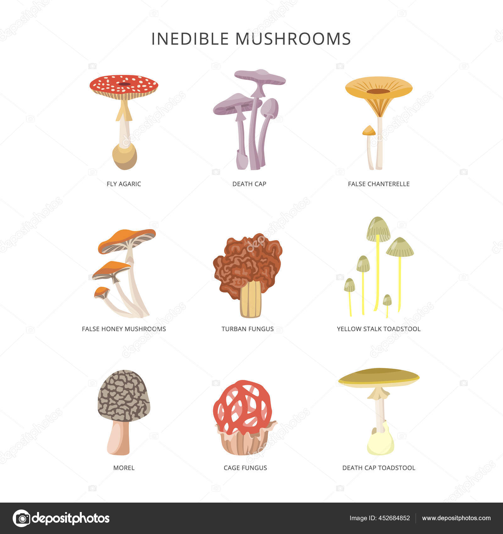 Inedible mushroom toadstools icons set, flat vector illustration isolated. Stock Vector Image by ...