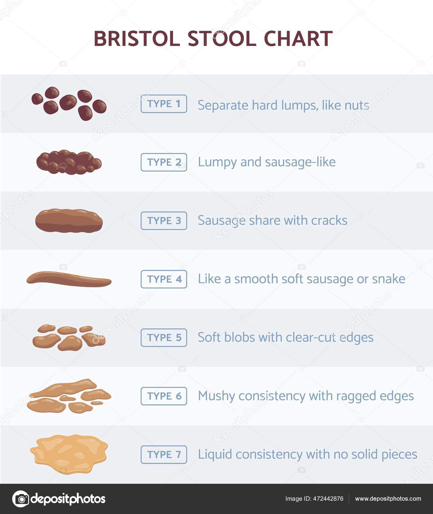 Bristol Stool Chartpdf Bristol Stool Chart Explained Stools Item