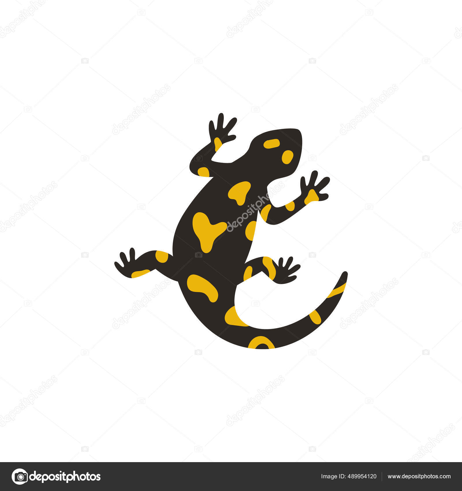 Salamander Silhouette